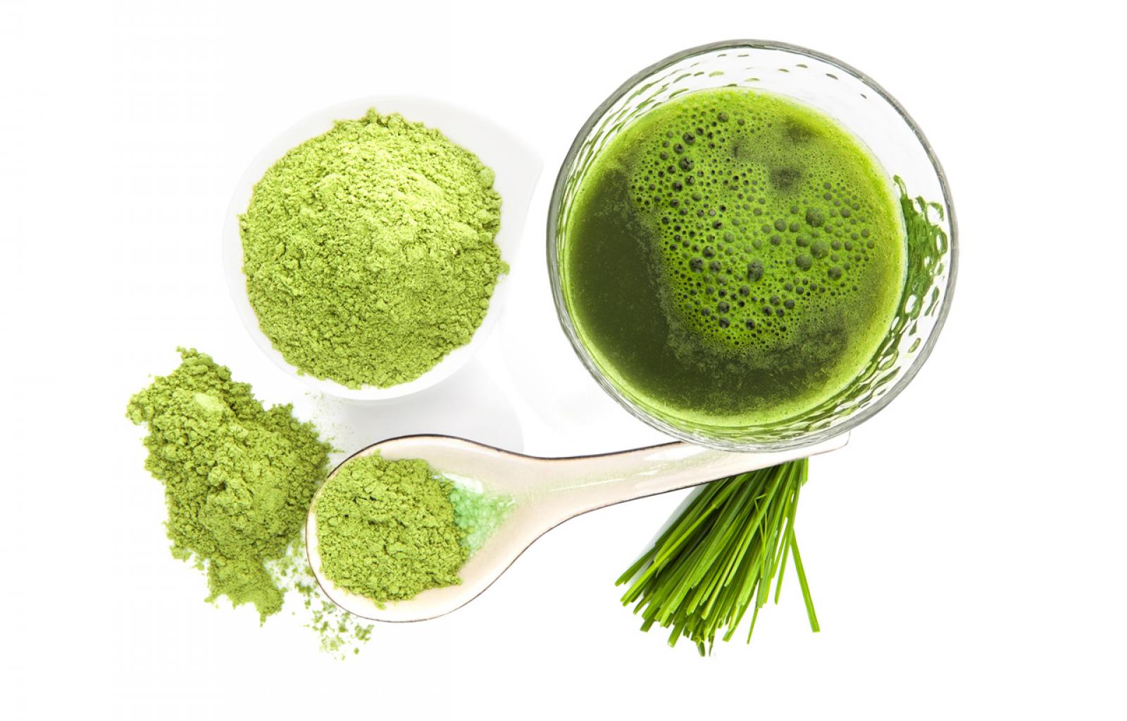 AlgiKey - Algae as the key for a better world