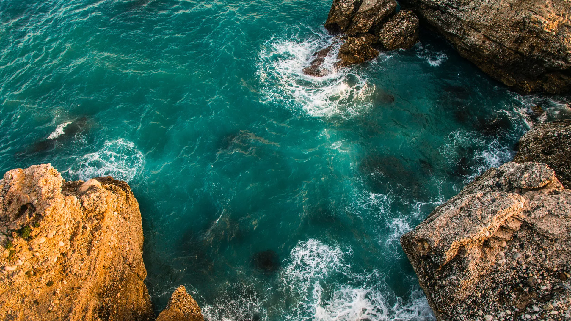 Subscribe Newsletter